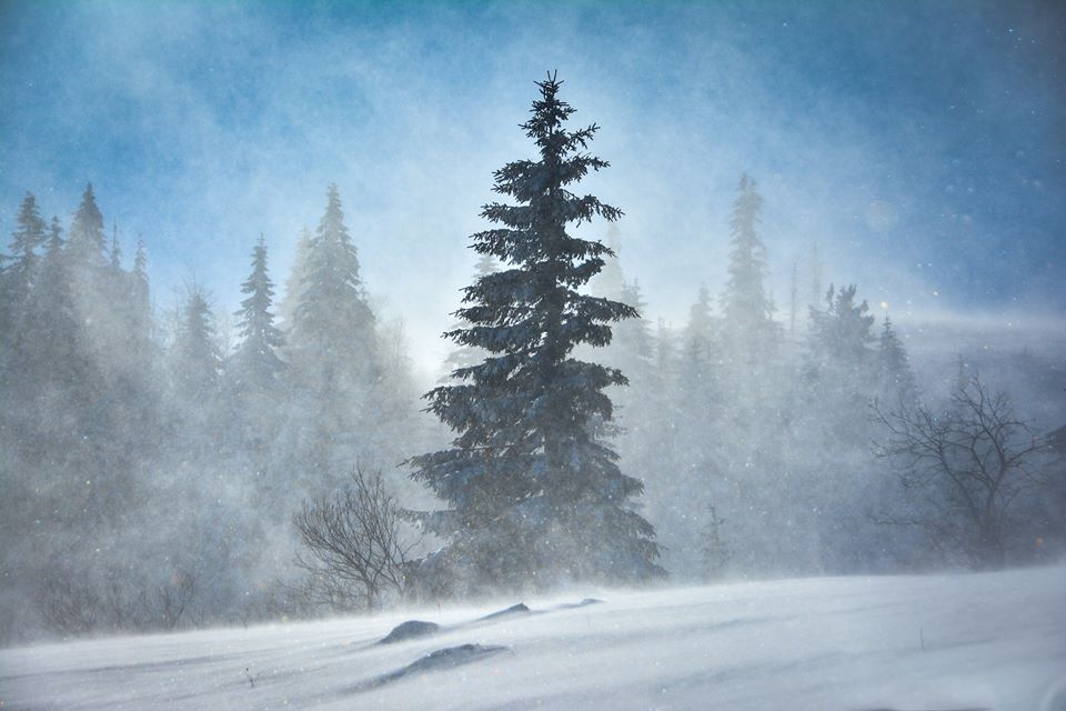 Northern Hemisphere snow can now be reliably estimated