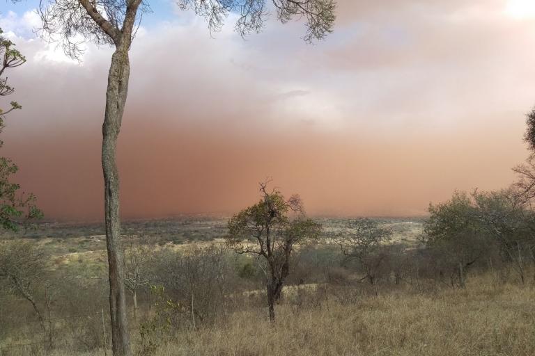 El Boletín de la OMM sobre el polvo en suspensión en el aire destaca ...