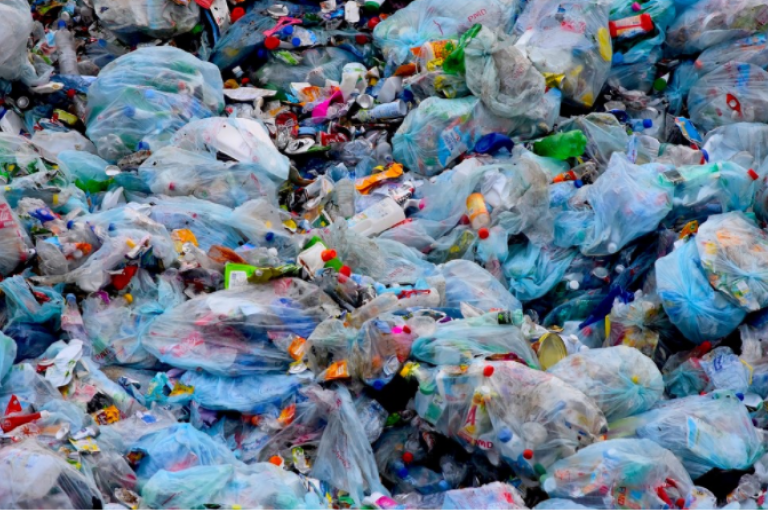 World Environment Day: beat plastic pollution