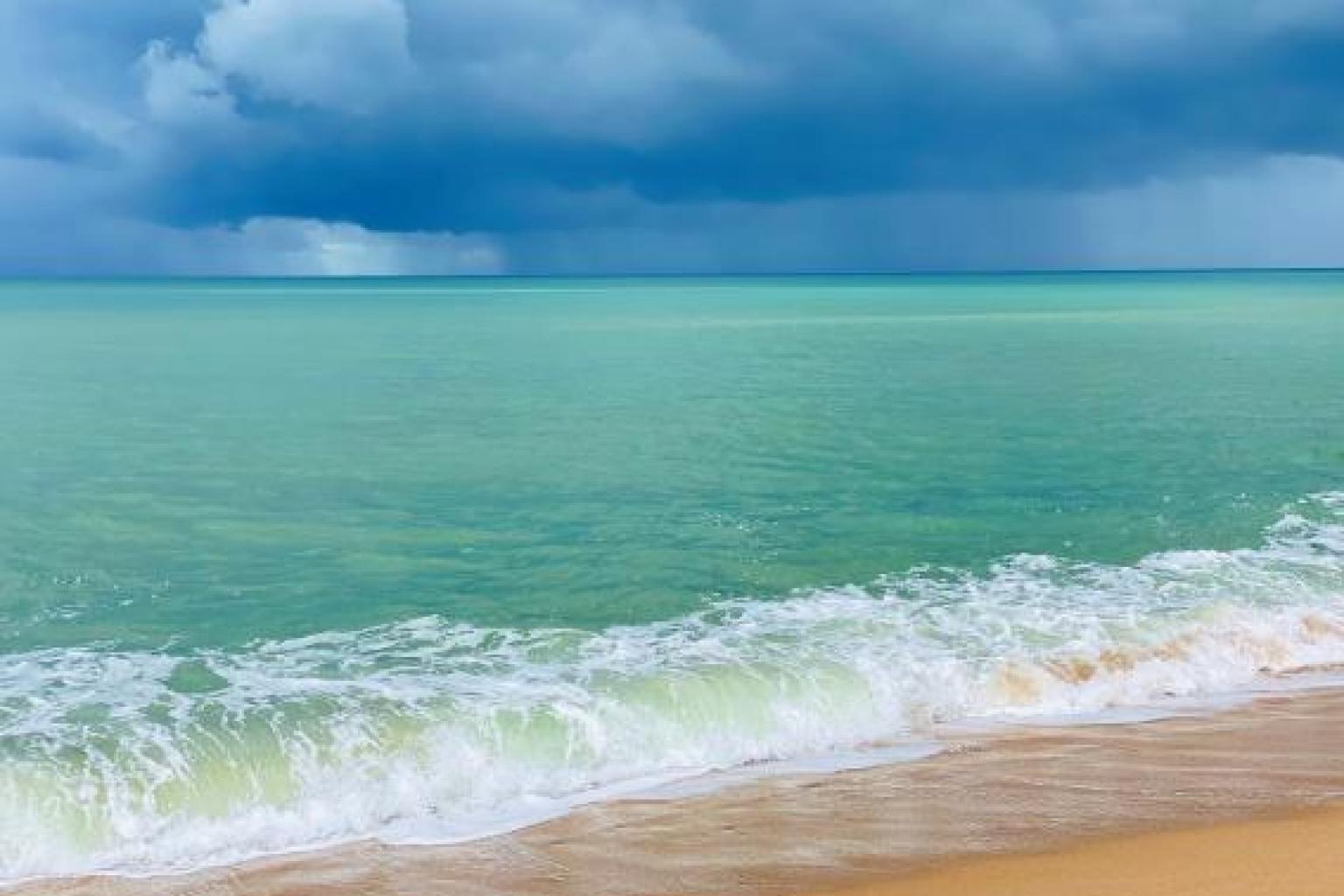 WMO Update: El Niño may return