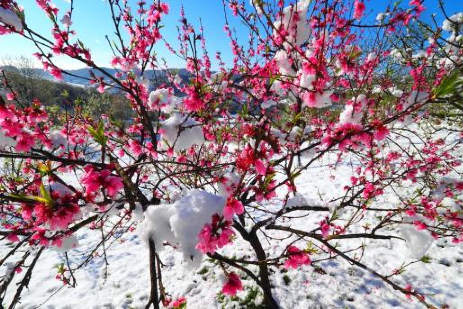 It was the second joint warmest March on record: Copernicus