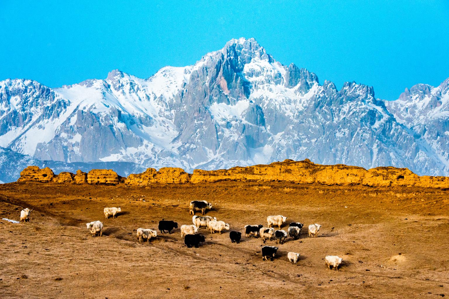 WMO and Mountain Research Initiative strengthen collaboration