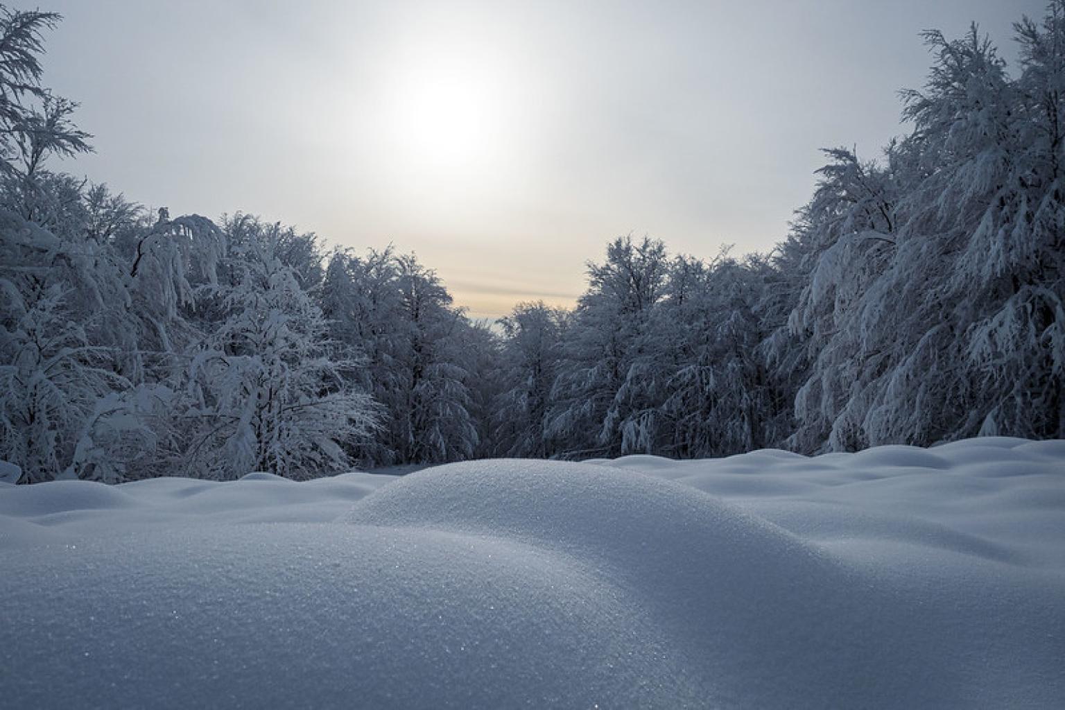 Global Seasonal Climate Update for January-February-March 2026