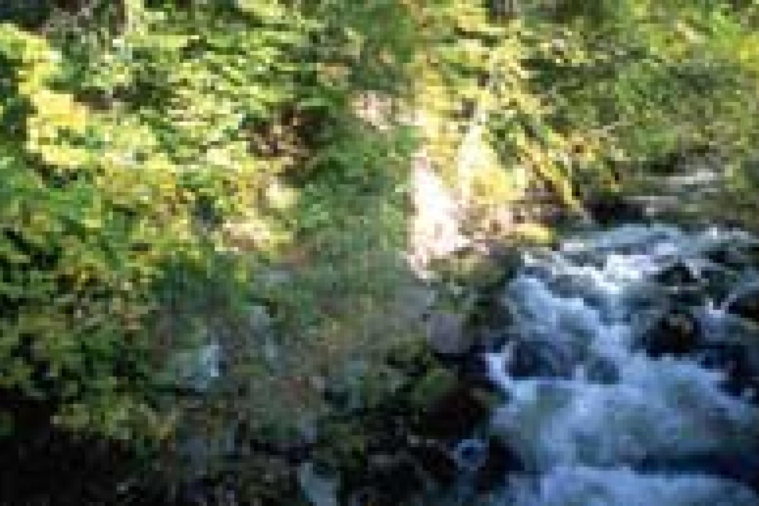 Capacity-Building Needs for National Hydrological Services