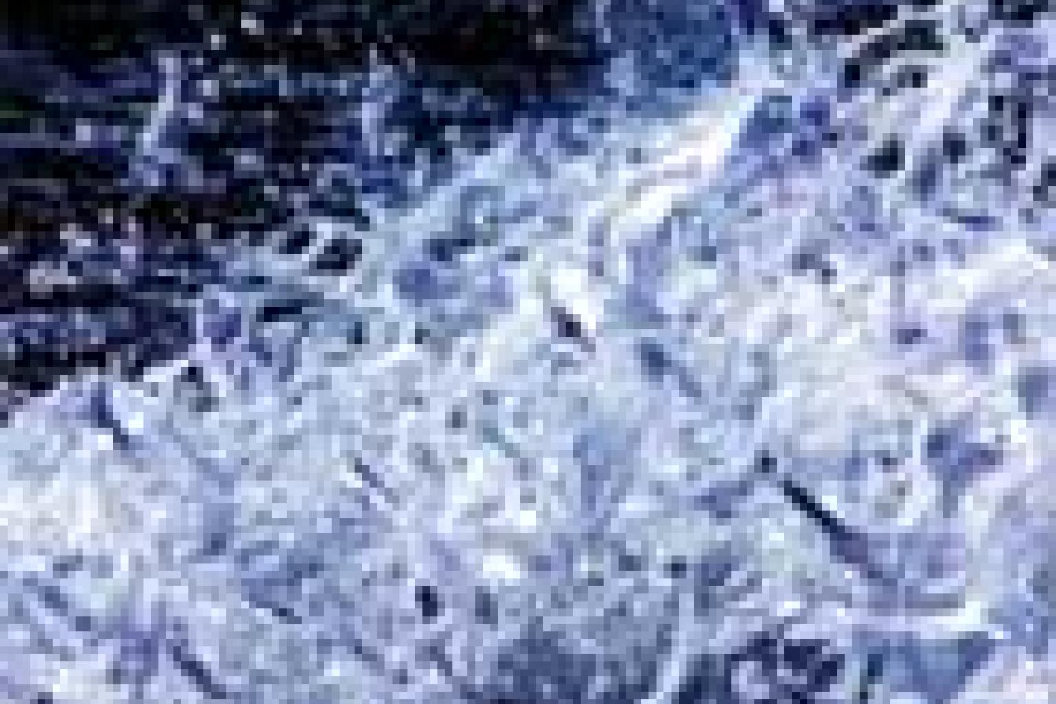 The Evolution of Operational Hydrology within WMO