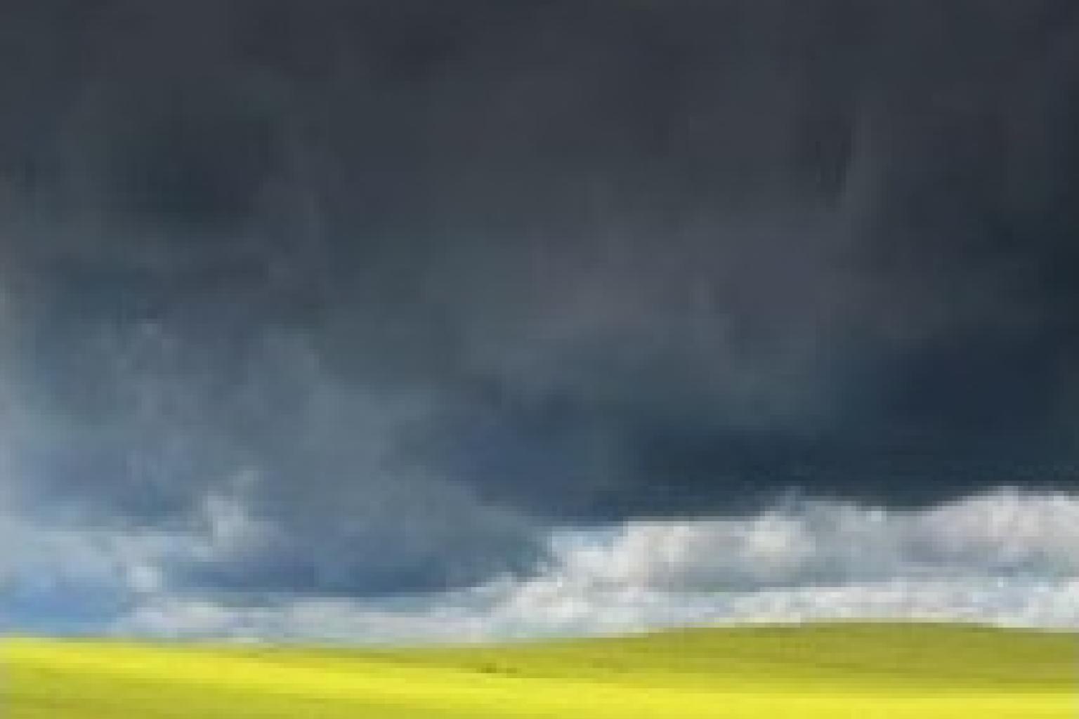 The World Weather Watch Present and Future Perspectives