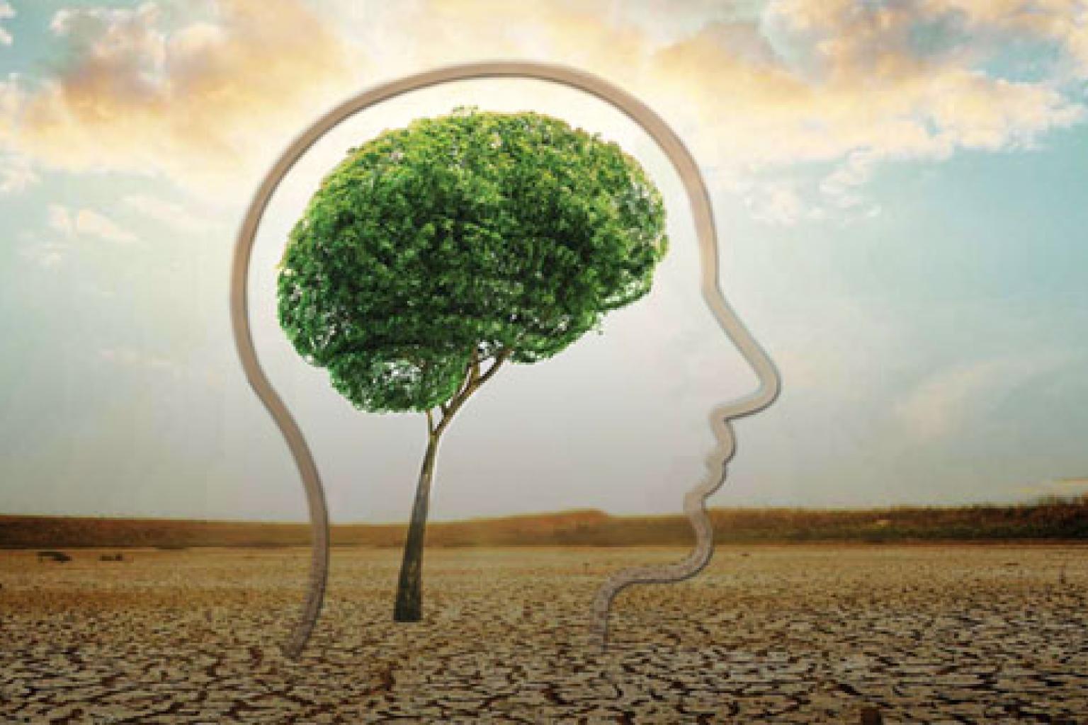 Climat: comprendre pour agir | Organisation Météorologique Mondiale