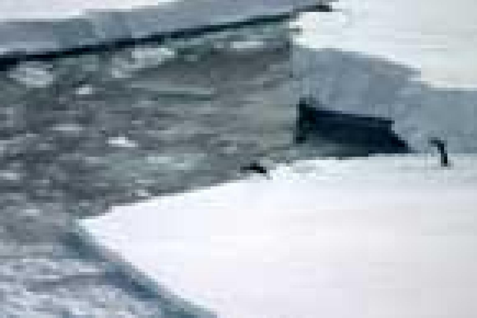 State and fate of the polar cryosphere, including variability of the ...