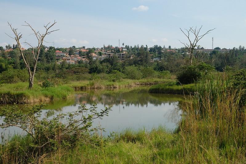 CREWS East Africa Project Launch